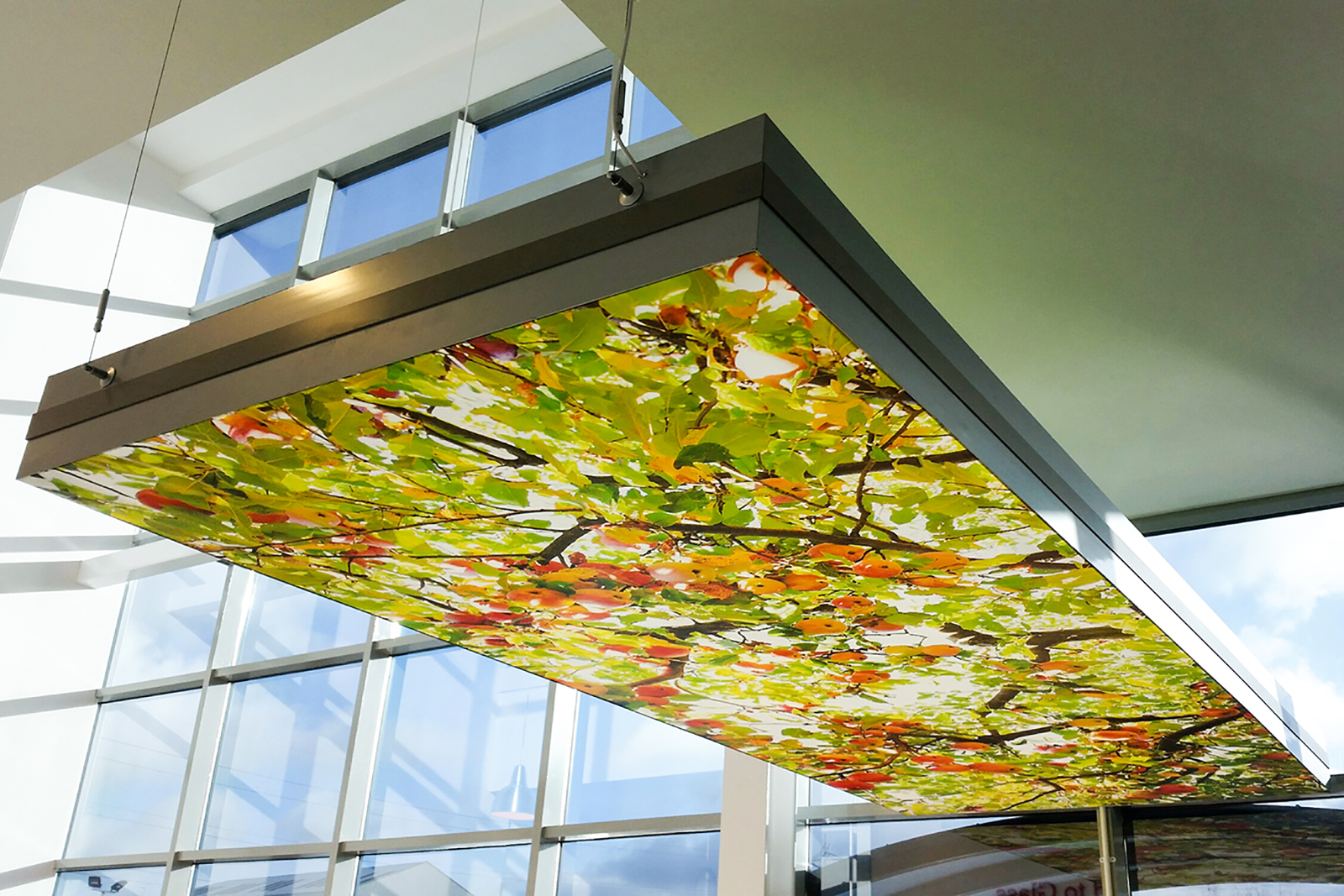 Flex Face Signs, Flex Face Internal Signs & Soft Signage - Sign Systems